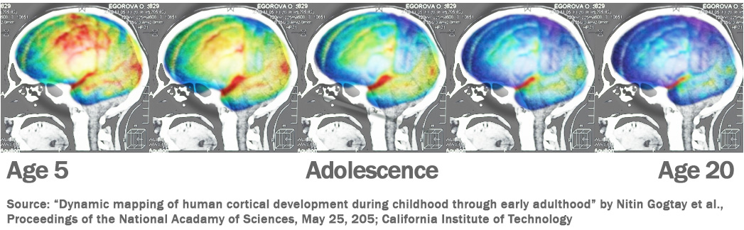 Pornography Education and Support for Parents and Caregivers